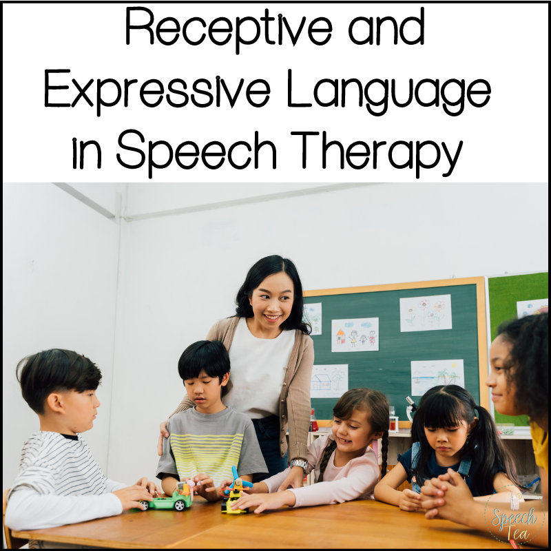 Receptive and Expressive Language in Speech Therapy – SpeechTea