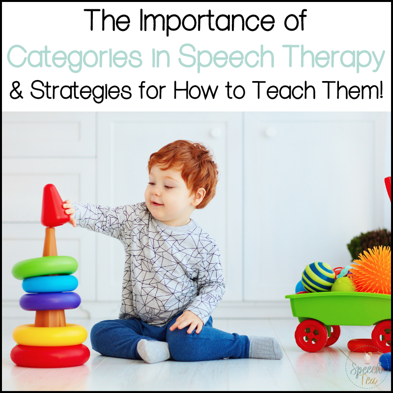 The Importance of Categories in Speech Therapy & Strategies for How to ...
